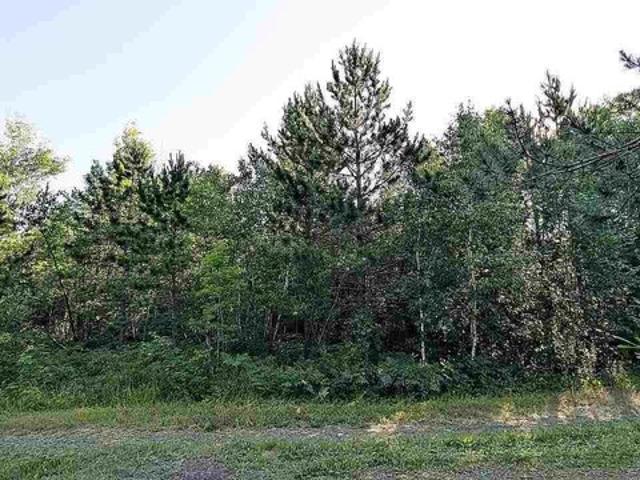 Highway 24 Lot B, Orr, MN 55771