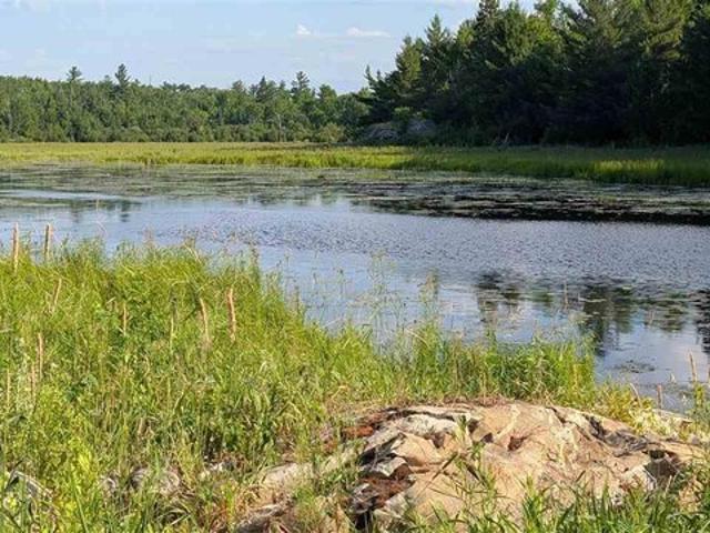 Highway 24 Lot C, Orr, MN 55771