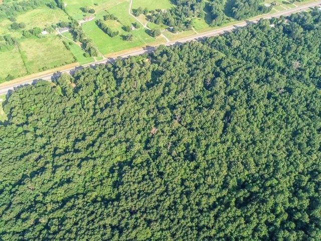 Highway 259 and Sego Lily Rd, New Diana, TX 75640