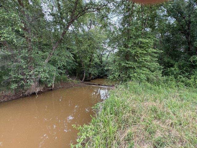Highway 259, Diana, TX 75640