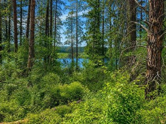 Highway 25 S, Gifford, WA 99131