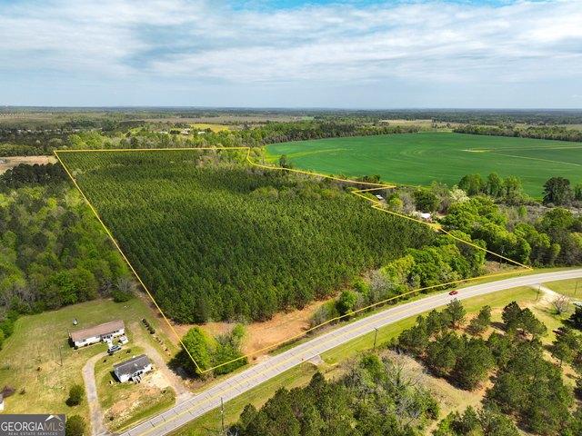 Highway 26, Hawkinsville, GA 31036