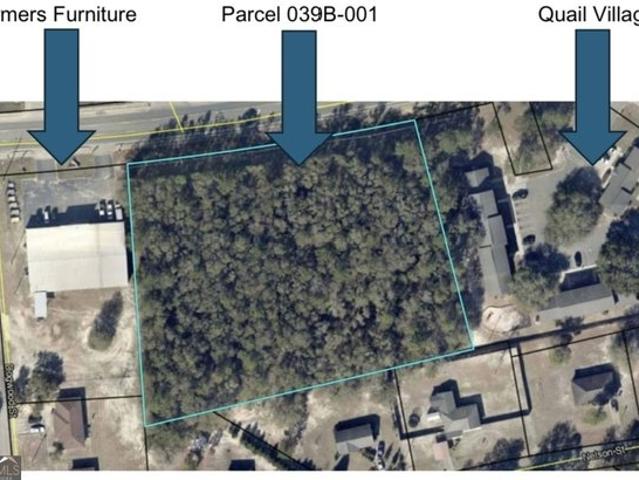 Highway 280, Reidsville, GA 30453
