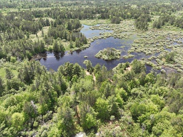 Highway 28, Seney, MI 49883