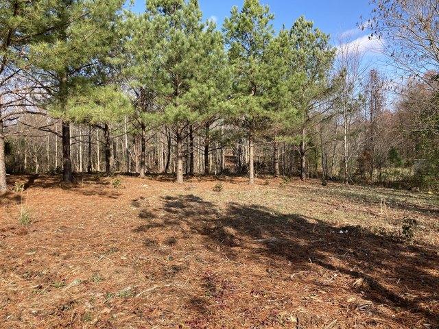 Highway 20, Summertown, TN 38483