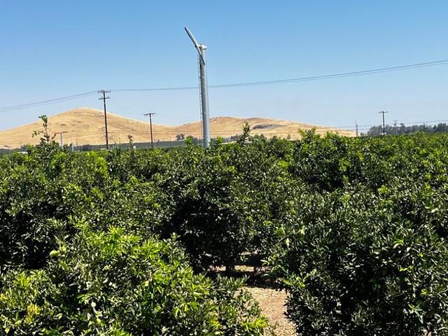 Highway 216, Ivanhoe, CA 93235