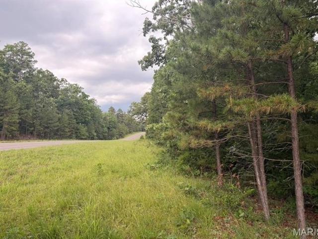 Highway 21, Ellington, MO 63638