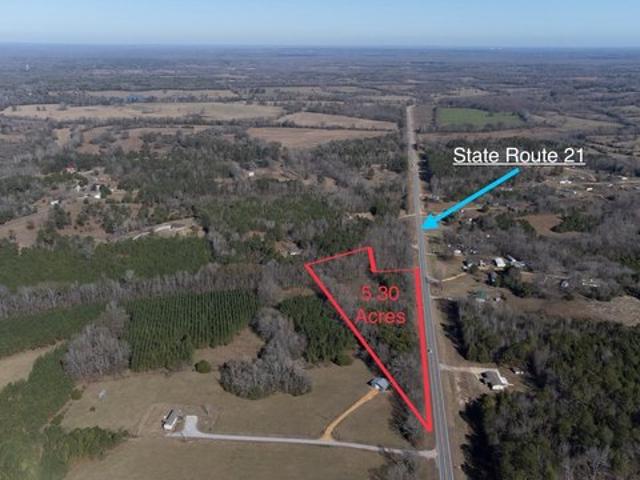 Highway 21 Lot 4, Hayneville, AL 36040