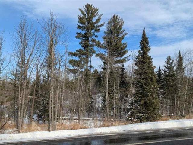 Highway 22, Cook, MN 55703