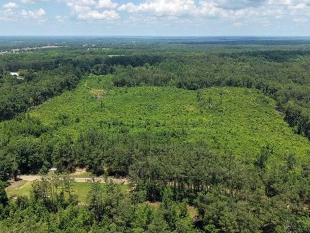 Highway 22, Shiloh, TN 38376