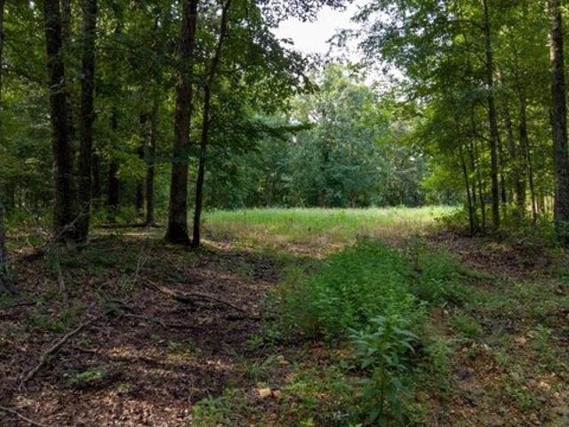 Highway 230, Waverly, TN 37185