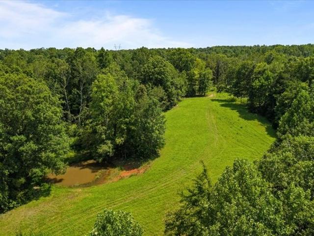 Highway 230, McEwen, TN 37101
