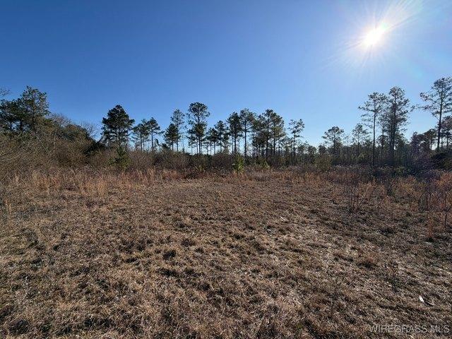 Highway 231, Troy, AL 36079