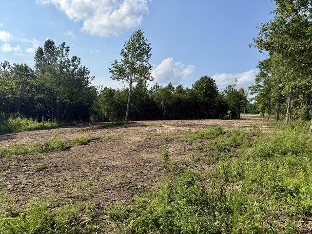 Highway 231, Erin, TN 37061