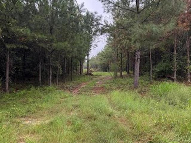 Highway 23, Waynesboro, GA