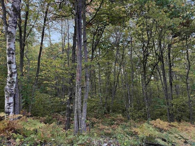 Highway 2, Iron River, WI 54847