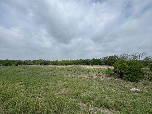 Highway 359 Lot 0, Alice, TX 78332