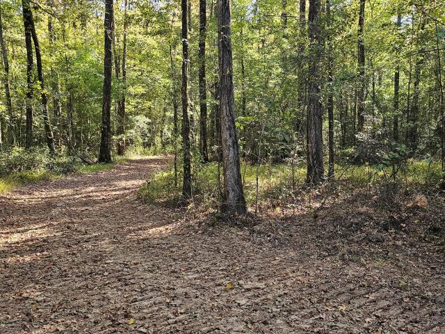 Highway 35, Vaiden, MS 39176