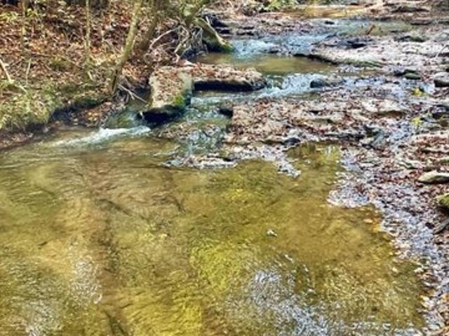 Highway 36 E, Jackson, GA 30233