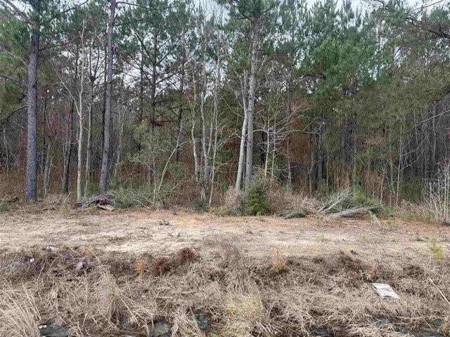 Highway 383 Lot 12, Iowa, LA 70647