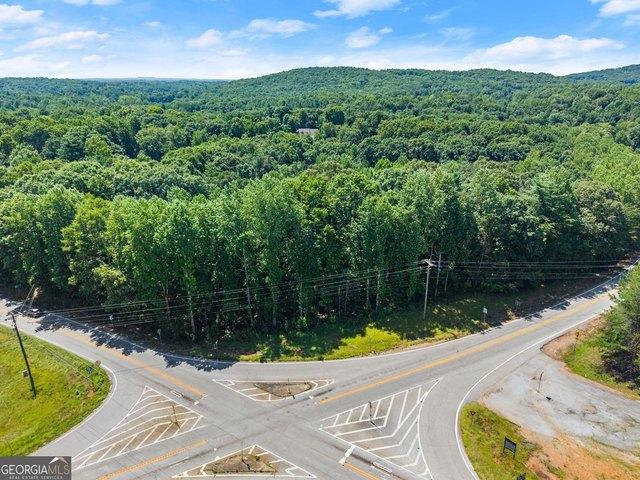 Highway 384, Cleveland, GA 30528