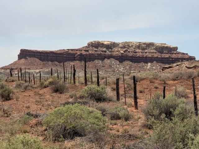 Highway 389 Lot 4, Fredonia, AZ 86022