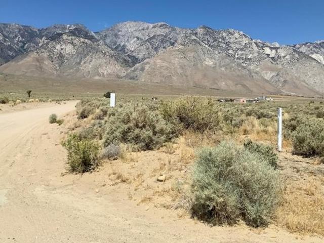 Highway 395 and Walker Rd, Olancha, CA 93549