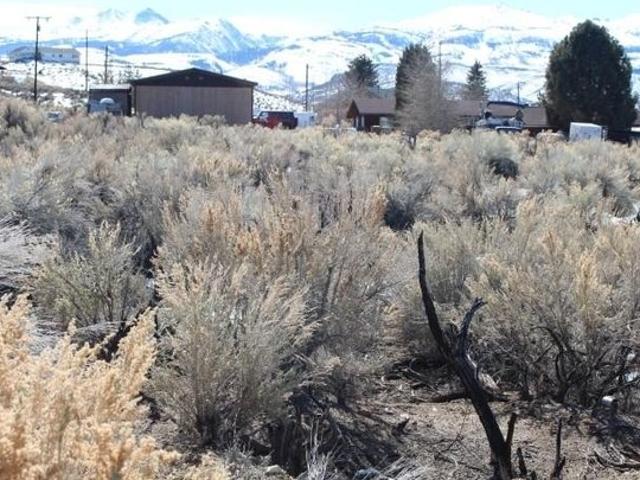 Highway 395 Lot 53 and MT Patterson, Bridgeport, CA 93517