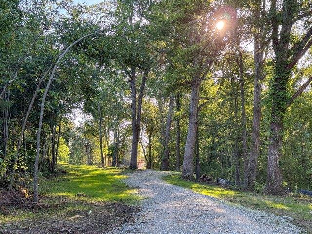 Highway 301, Trenton, GA 30752