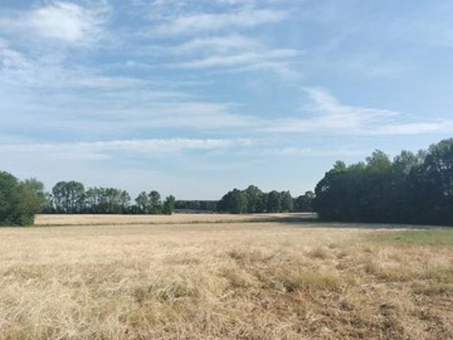 Highway 301, Weldon, NC 27890