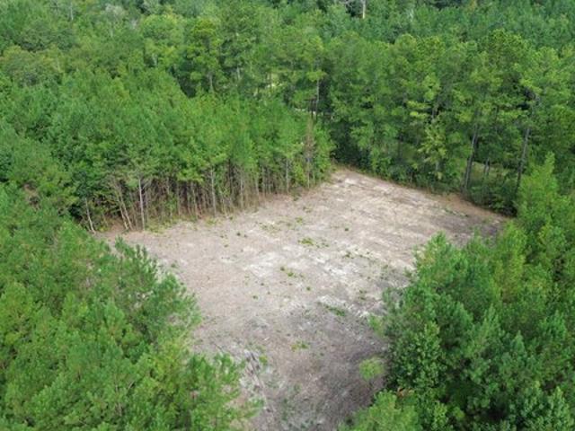 Highway 311 Lot 1, Cross, SC 29436