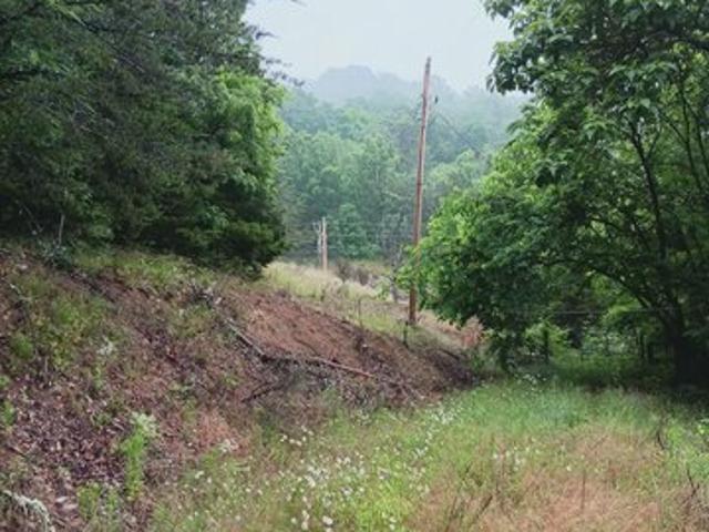 Highway 31, Mooresburg, TN 37811