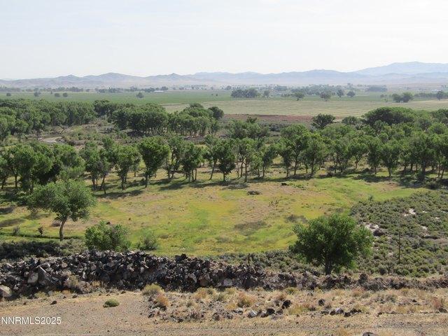 Highway 339, Yerington, NV 89447