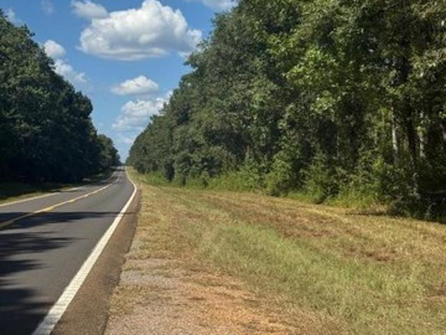 Highway 33, Roxie, MS 39661