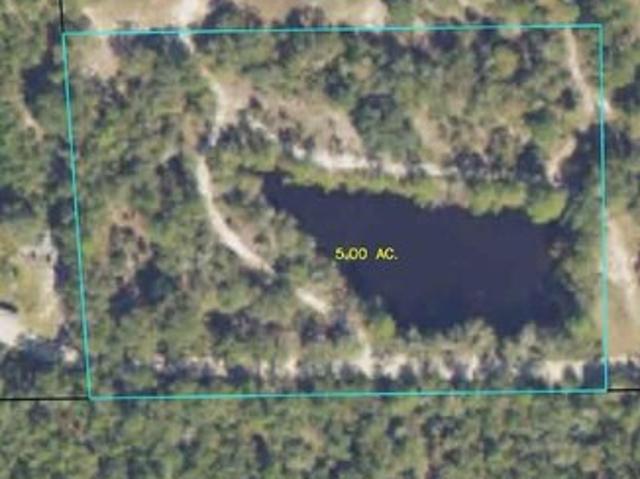 Highway 441 S Lot 169, Pearson, GA 31642
