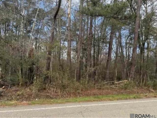 Highway 449, Pine Grove, LA 70453