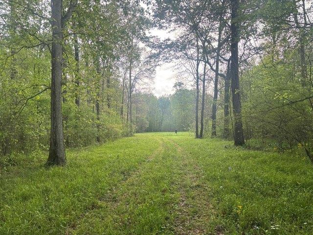 Highway 45 Alt, West Point, MS 39773