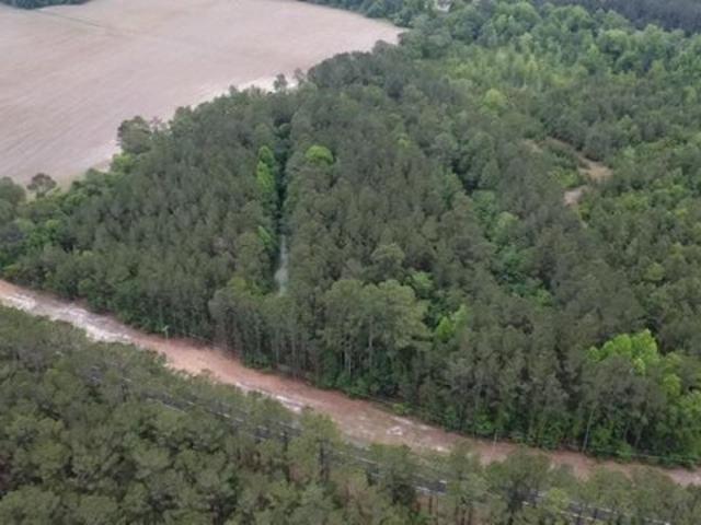 Highway 45, Loris, SC 29569