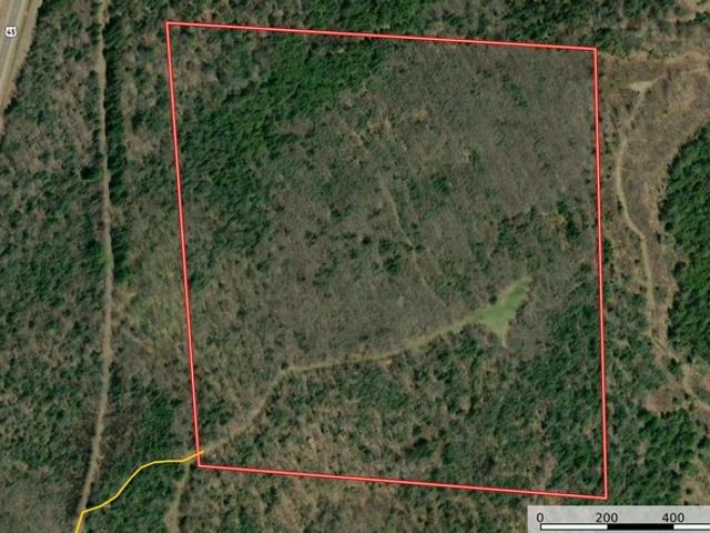 Highway 45, Summit Lake, WI 54485