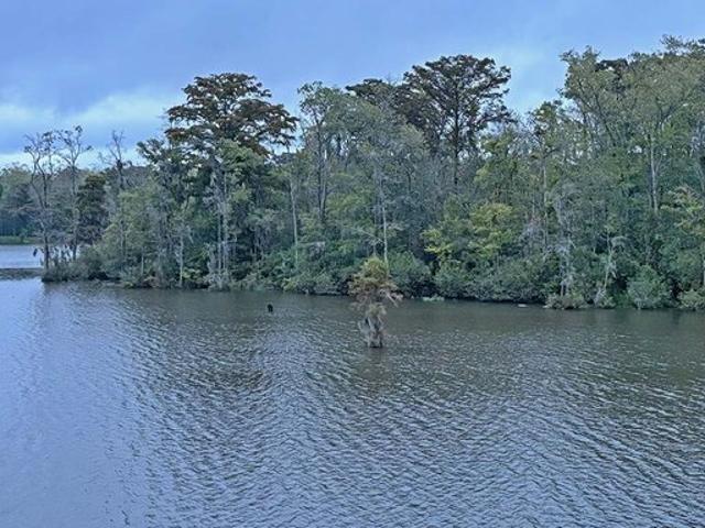 Highway 45N, Plymouth, NC 29762