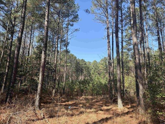 Highway 46 N, Sheridan, AR 72150