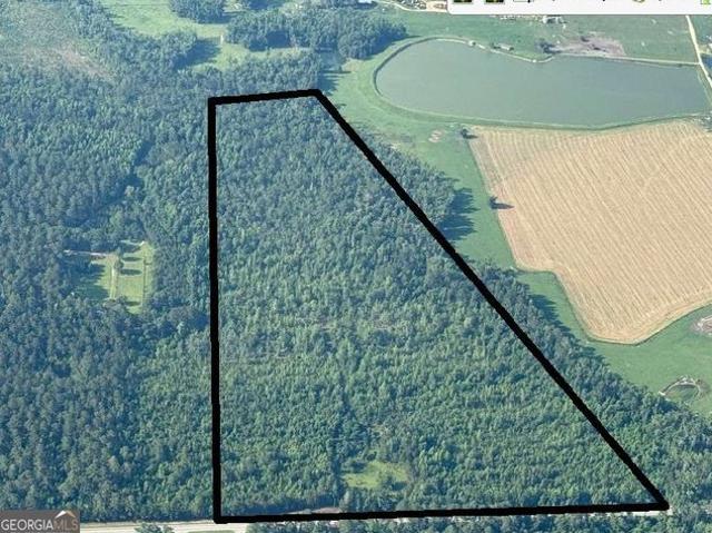 Highway 46 E Between Metter /Pulaski, Metter, GA 30439