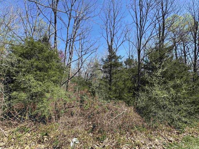Highway 46 Lot B21, Spencer, IN 47460