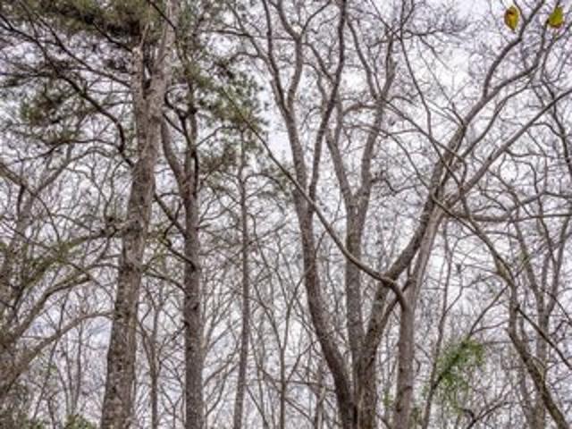 Highway 488, Carthage, MS 39051
