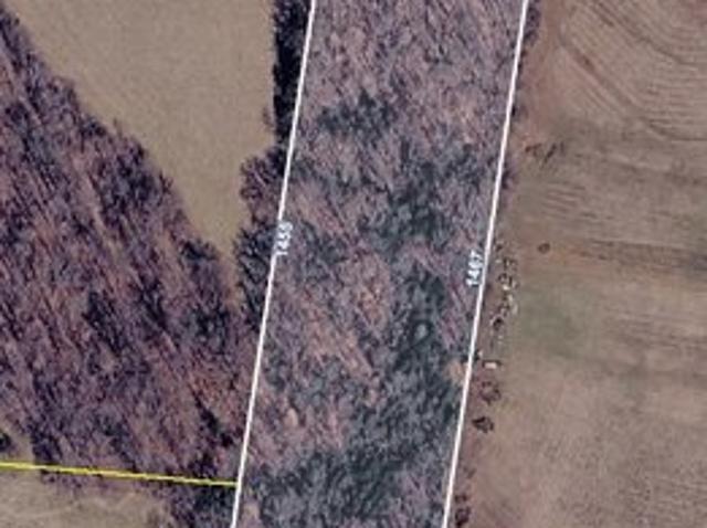 Highway 48, Charlotte, TN 37036
