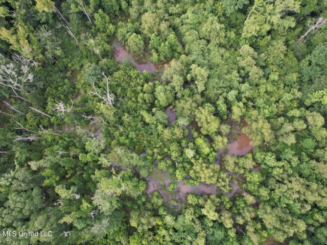 Highway 48, Gloster, MS 39638
