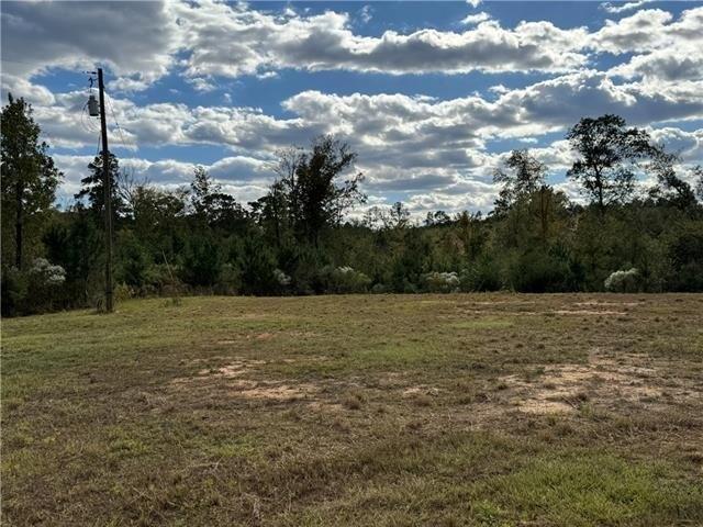Highway 497, Forest Hill, LA 71430