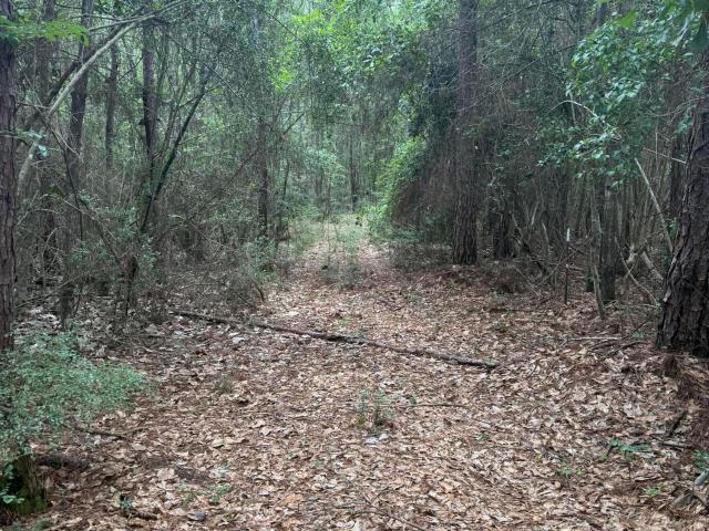 Highway 49, Saucier, MS 39574