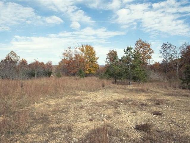 Highway 49 1 13 Unit Tract, Piedmont, MO 63957