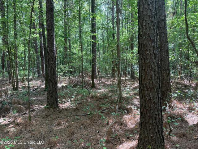 Highway 407, Kilmichael, MS 39747